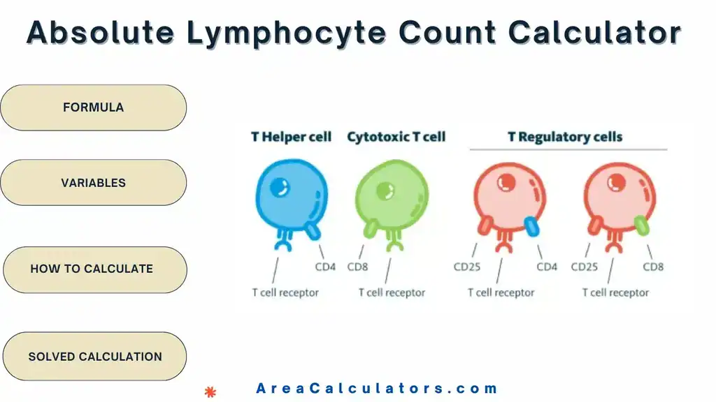 Absolute Lymphocyte Count Calculator - Area Calculators