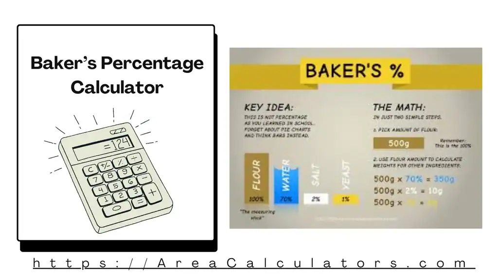 Baker’s Percentage Calculator - Area Calculators