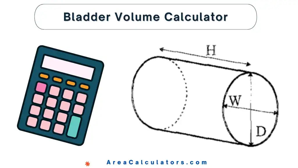 Bladder Volume Calculator - Area Calculators