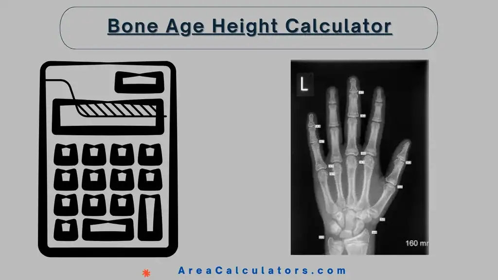 Bone Age Height Calculator - Area Calculators