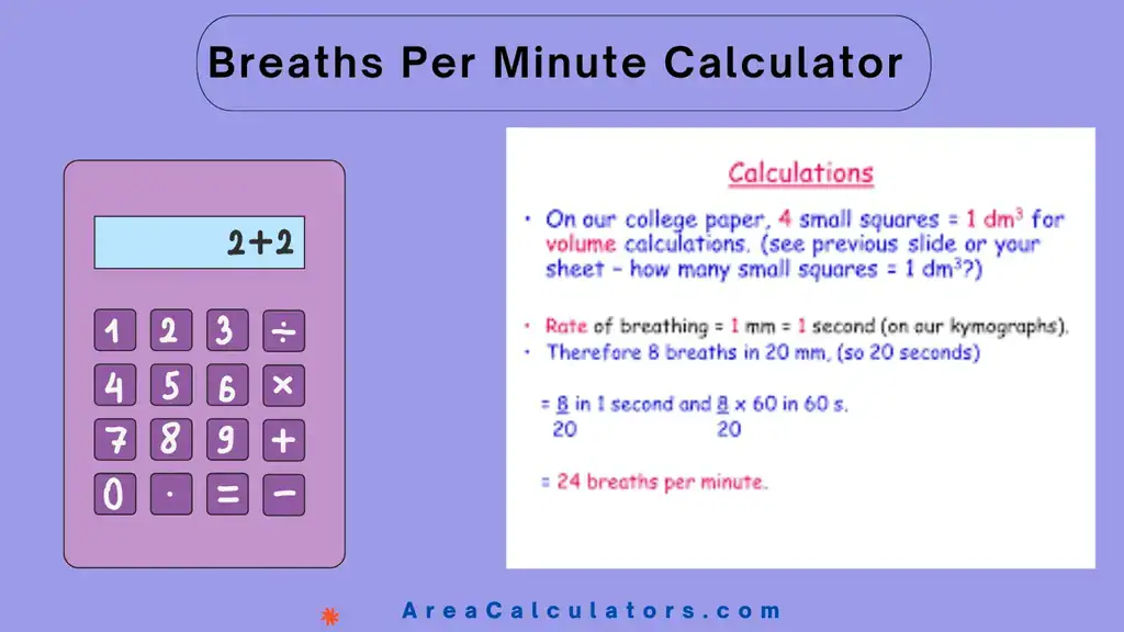 Breaths Per Minute Calculator - Area Calculators