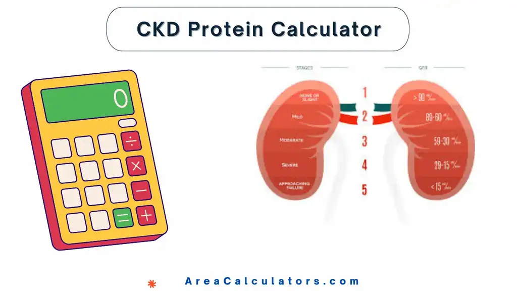 CKD Protein Calculator - Area Calculators