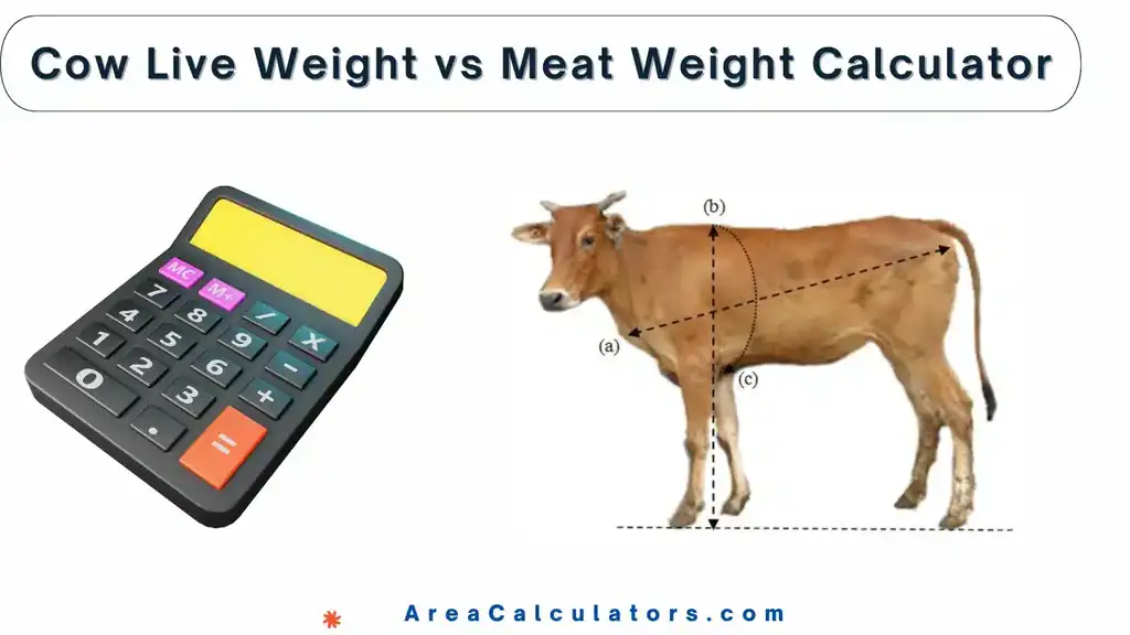 Cow Live Weight Vs Meat Weight Calculator - Area Calculators