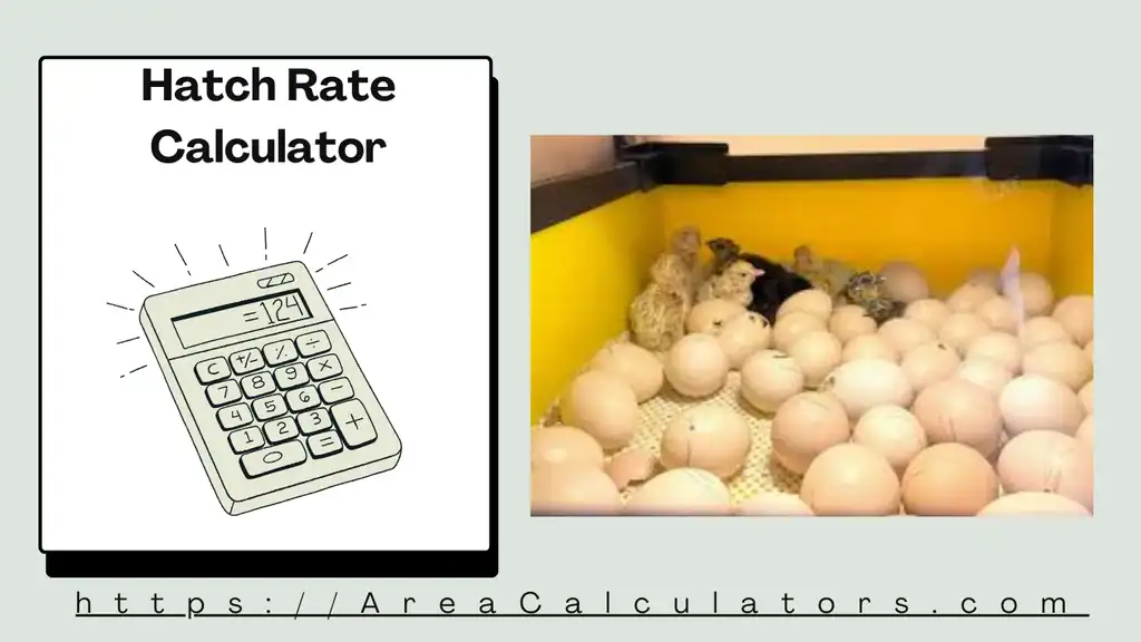 Hatch Rate Calculator - Area Calculators