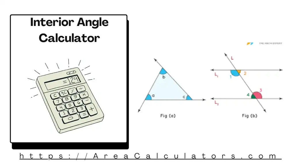 Interior Angle Calculator - Area Calculators