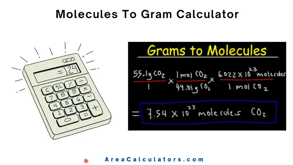 Molecules To Gram Calculator - Area Calculators