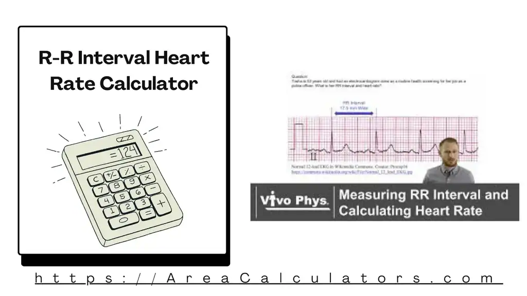 R-R Interval Heart Rate Calculator - Area Calculators