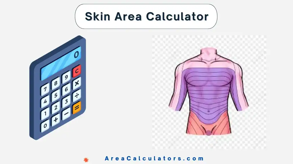 Skin Area Calculator - Area Calculators